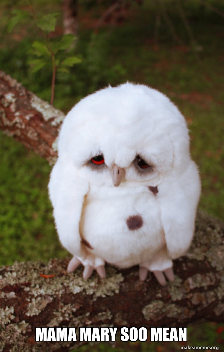 mama mary soo mean - Sad Owl Meme Generator