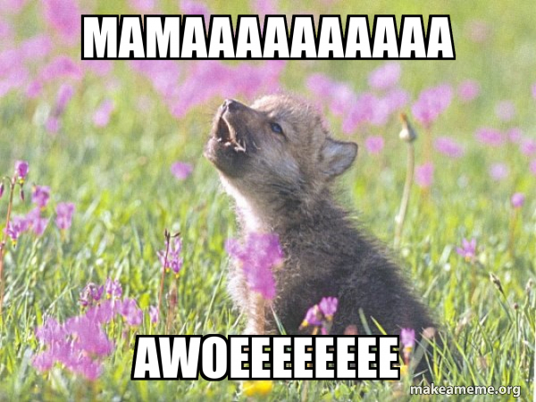 mamaaaaaaaaaa awoeeeeeeee - Baby Insanity Wolf Meme Generator