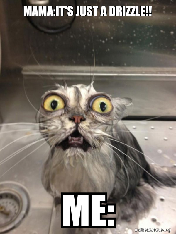 Mama:It's just a drizzle!! ME: - Cat bath Meme Generator