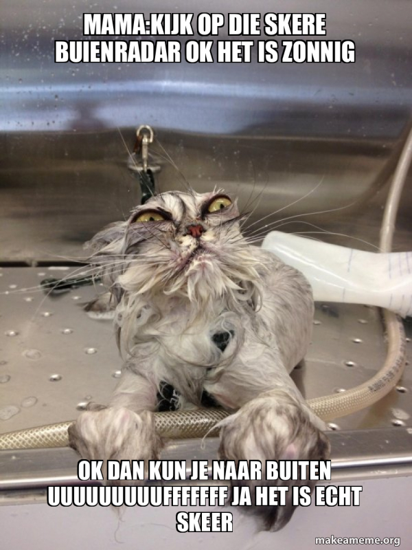 mama:kijk op die skere buienradar ok het is zonnig ok dan kun je naar ...