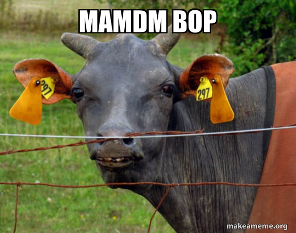 mamdm bop - Hairless Cow Meme Generator