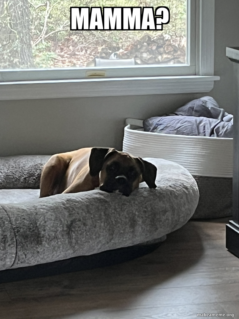 Mamma? Meme Generator