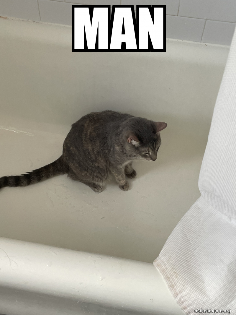 Man Meme Generator
