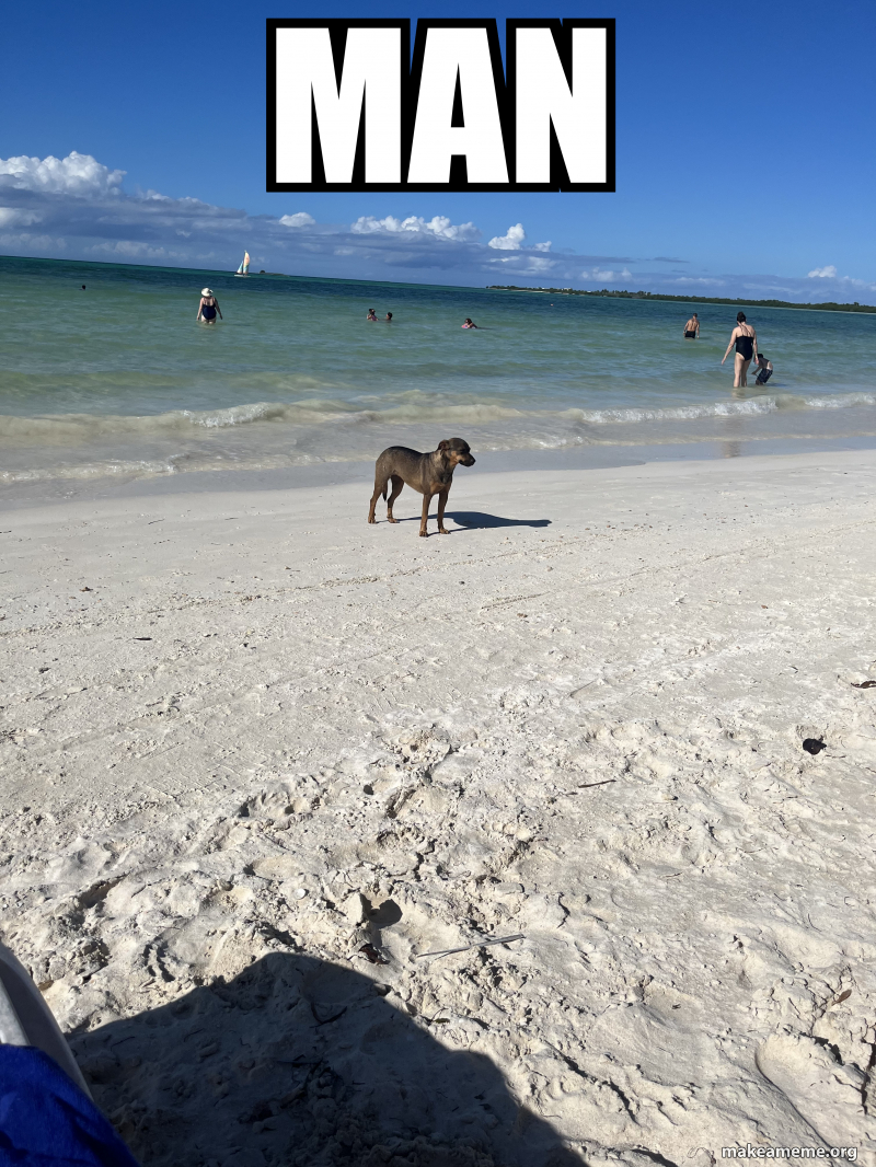 Man Meme Generator