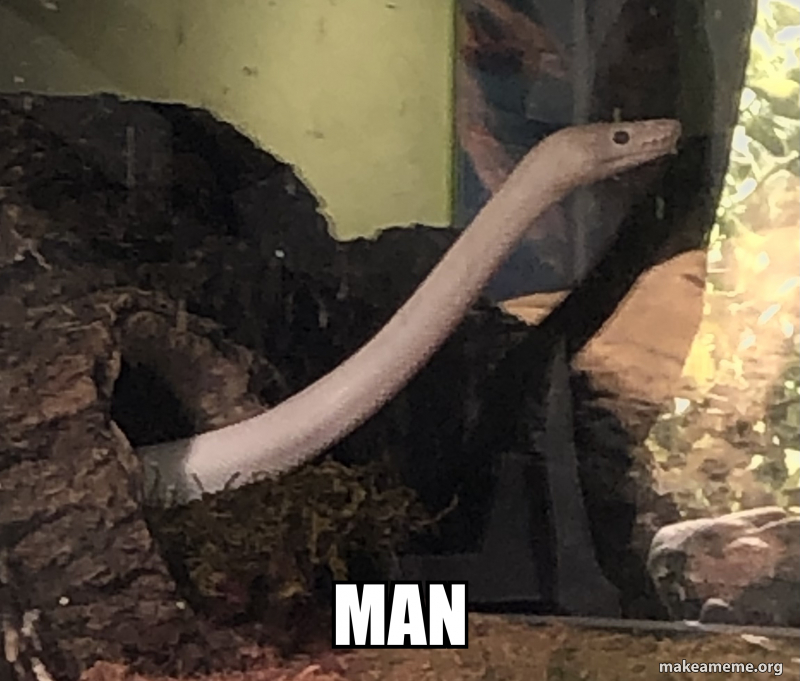 Man Meme Generator
