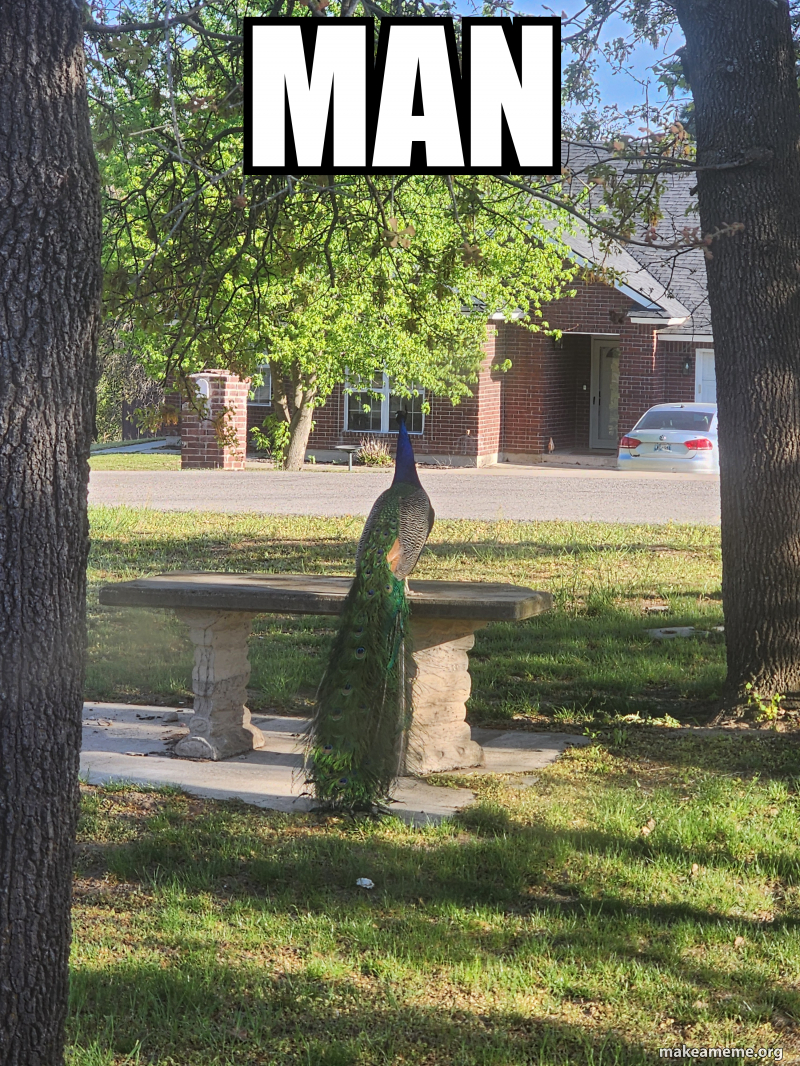 MAN Meme Generator