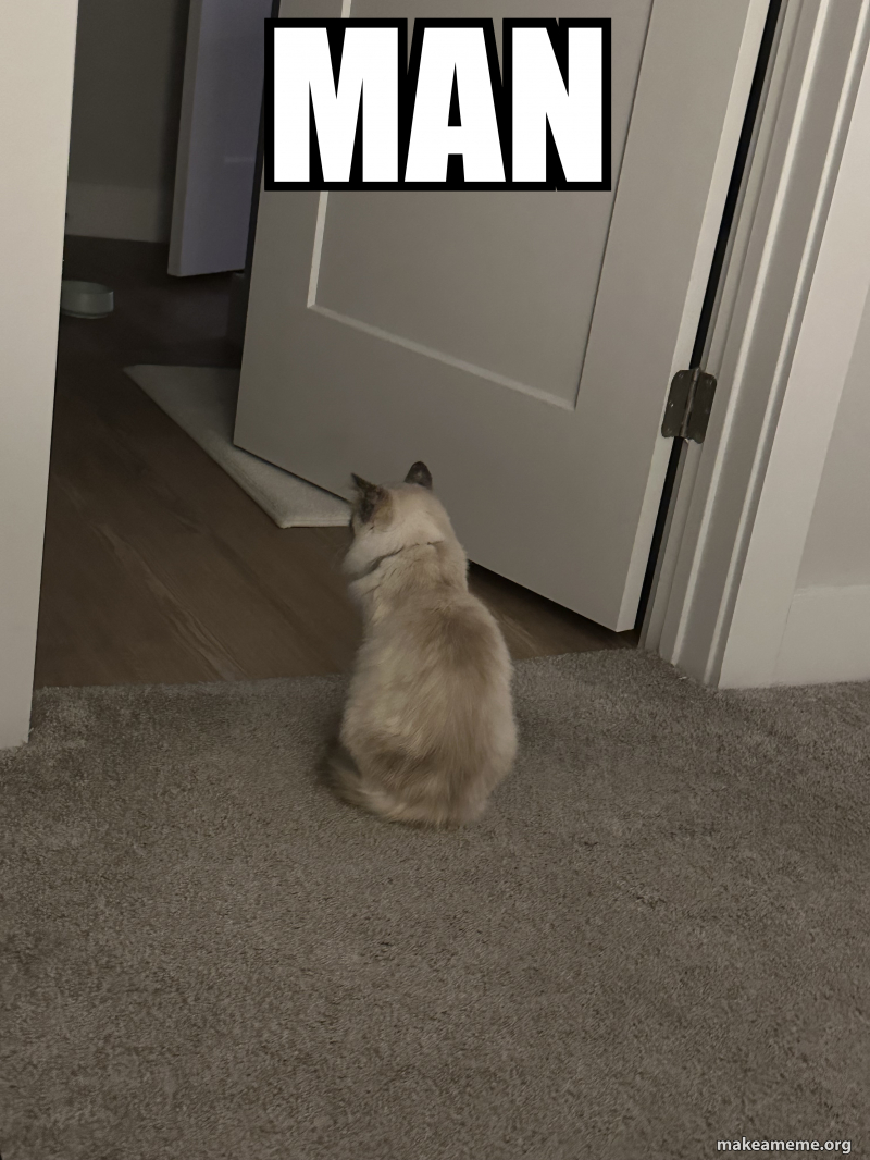 MAN Meme Generator