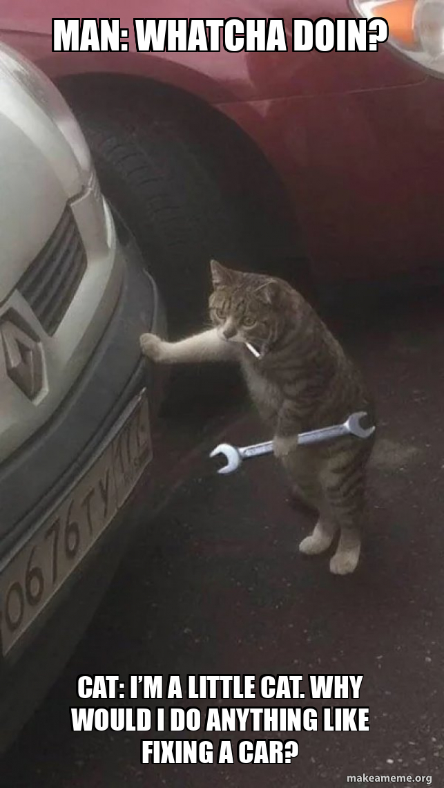 Man: Whatcha Doin? Cat: I’m a little cat. Why would I do anything like ...