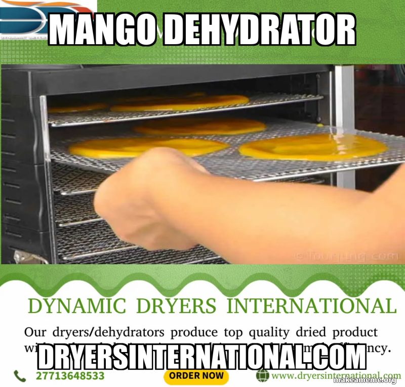 Mango Dehydrator dryersinternational.com Meme Generator