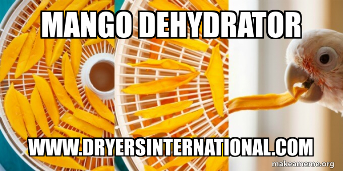 Mango Dehydrator www.dryersinternational.com Meme Generator