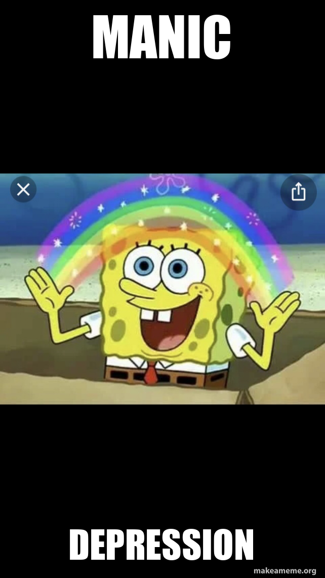 Manic Depression Meme Generator