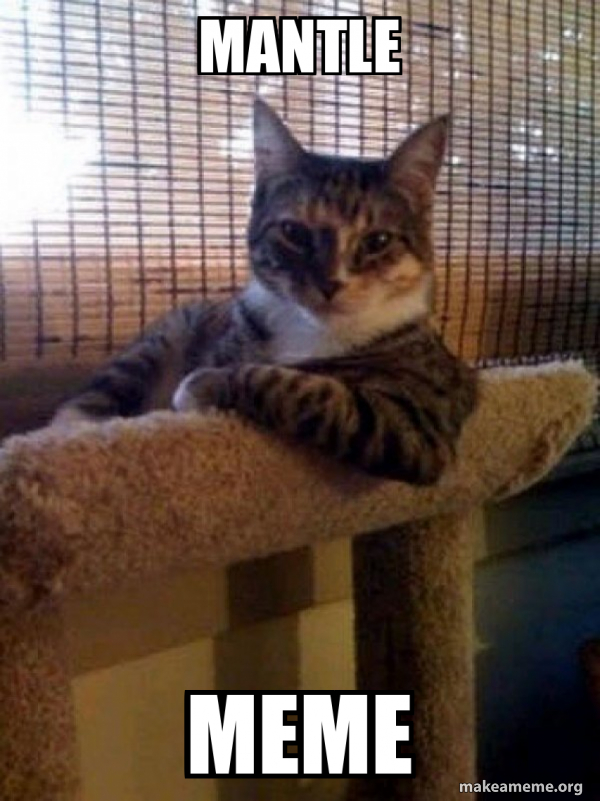 Mantle Meme - The Most Interesting Cat in the World Meme Generator