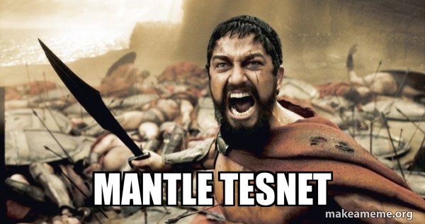 MANTLE TESNET - The 300 Meme Generator