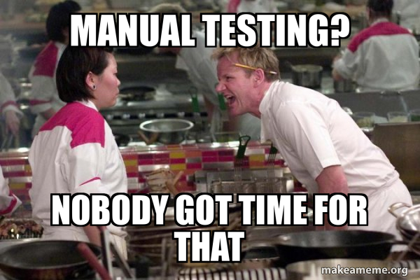 Manual testing? Nobody got time for that - Gordon Ramsay Meme Generator