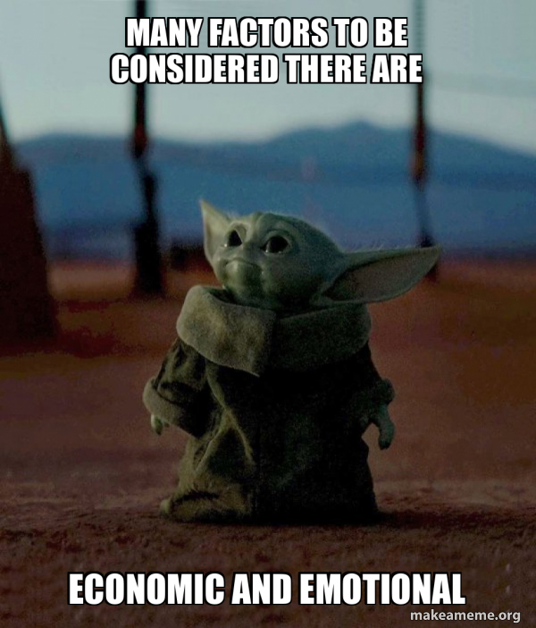 Many factors to be considered there are Economic and Emotional - Baby ...