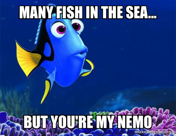 Many fish in the sea... But you're my nemo - Dory from Nemo (5 second ...