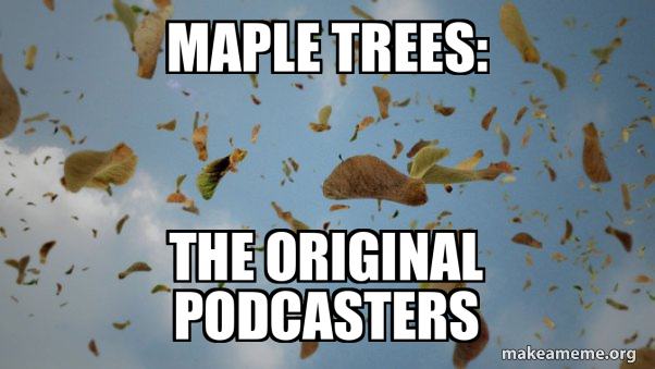 Maple Trees: The Original Podcasters | Make a Meme