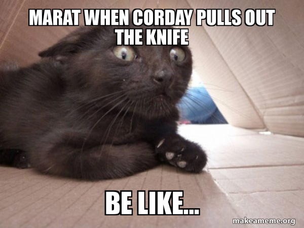 Marat when Corday pulls out the knife be like... - Schitzo Cat Meme ...