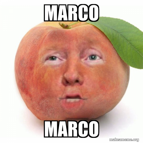MARCO MARCO - Impeached Donald Trump Meme Generator