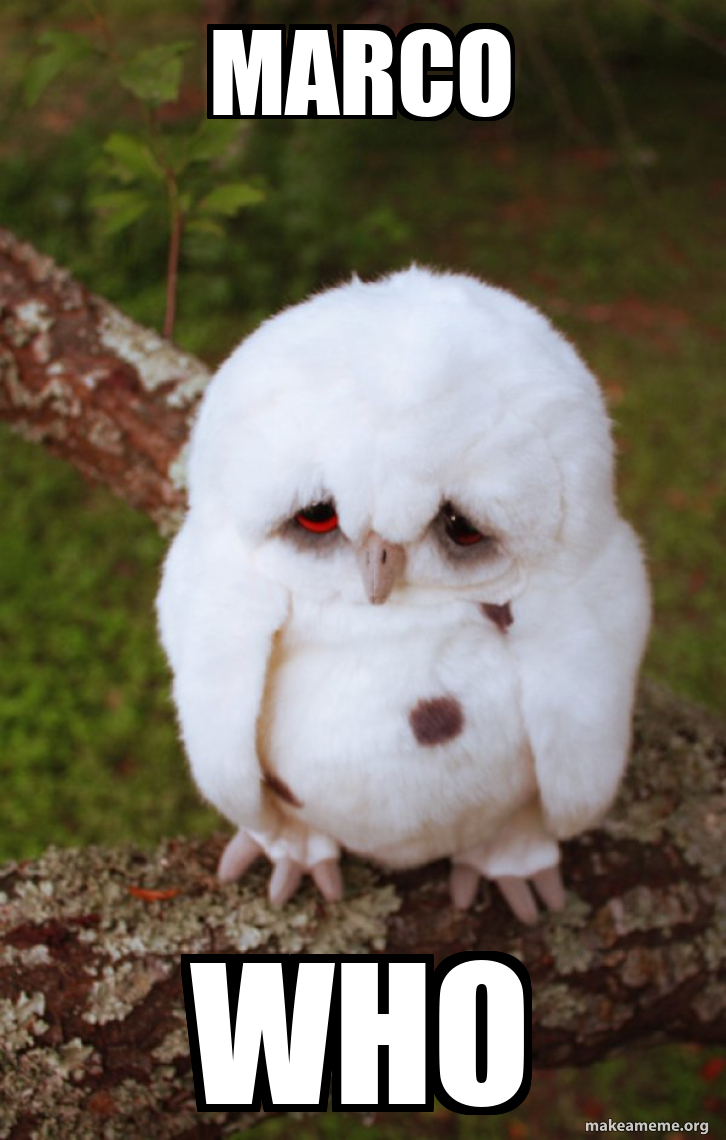 Marco Who - Sad Owl Meme Generator