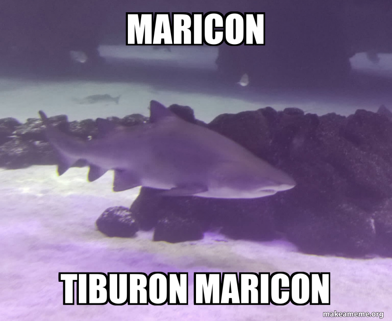 maricon tiburon maricon Meme Generator
