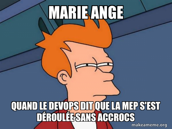 Marie Ange Quand le DevOps dit que la MEP s'est déroulée sans accrocs ...