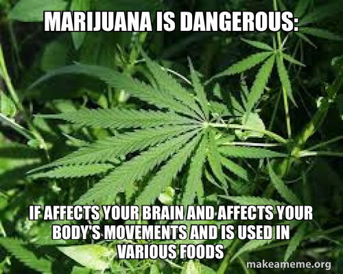 Marijuana is dangerous: If affects your brain and affects your body's ...