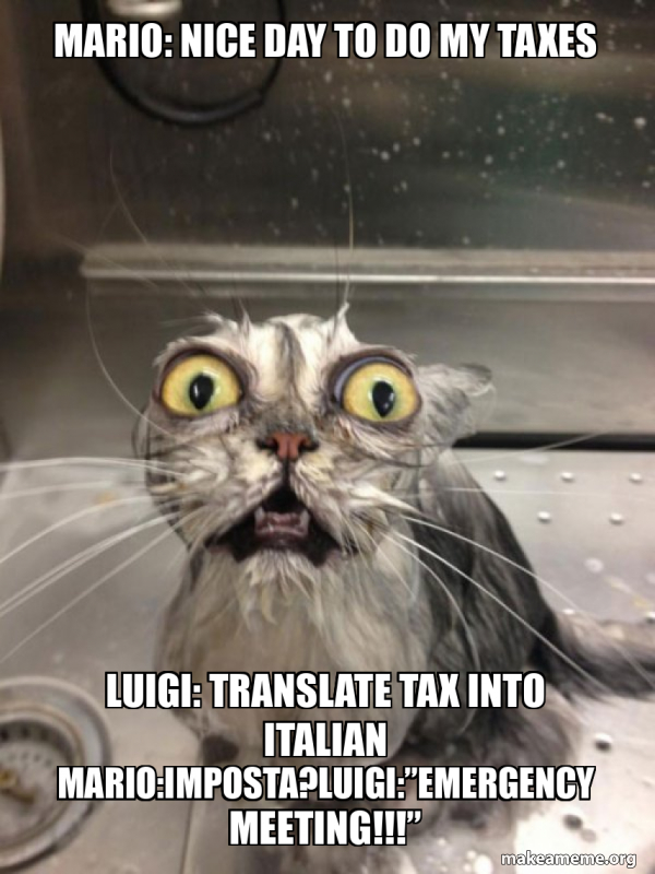 Mario: Nice day to do my taxes Luigi: Translate tax into Italian Mario ...