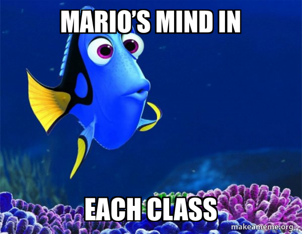 Mario’s mind in Each class - Dory from Nemo (5 second memory) Meme ...