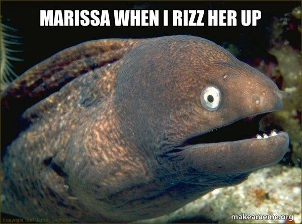 Marissa when I rizz her up - Bad Joke Eel Meme Generator