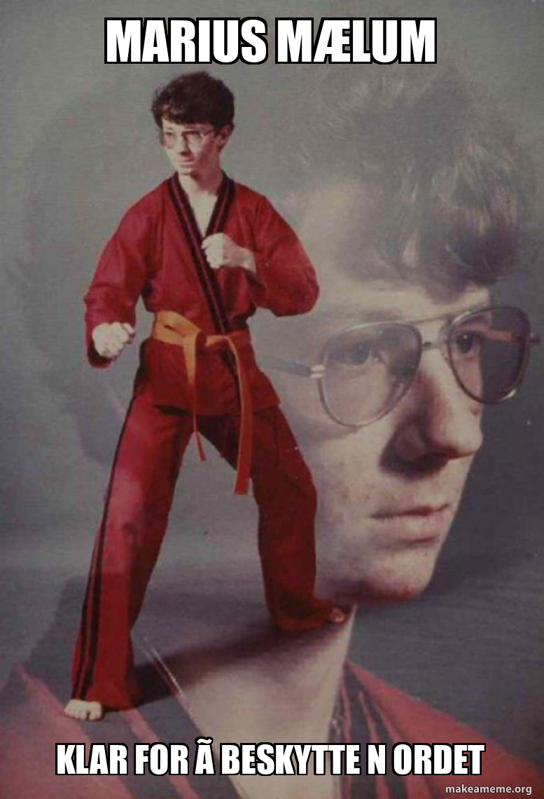 Marius Mælum Klar for å beskytte N ordet - Karate Kyle Meme Generator