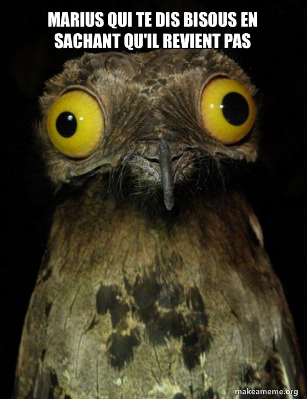 Marius qui te dis bisous en sachant qu'il revient pas - Weird Stuff I ...