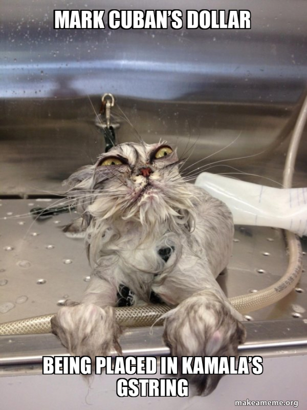 Mark Cuban’s dollar being placed in Kamala’s Gstring - Cat Bath Returns ...