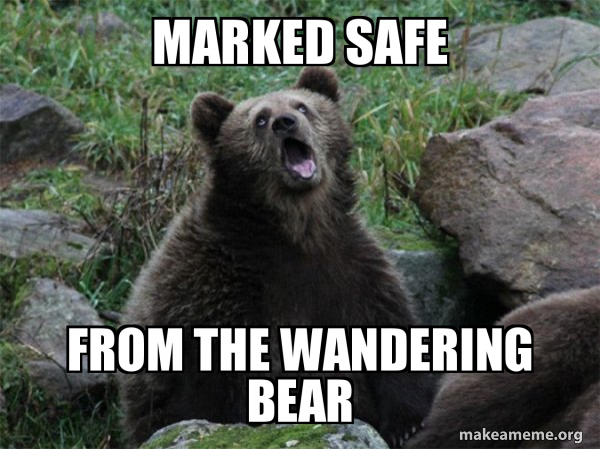 Marked Safe From The Wandering Bear Sarcastic Bear Make A Meme