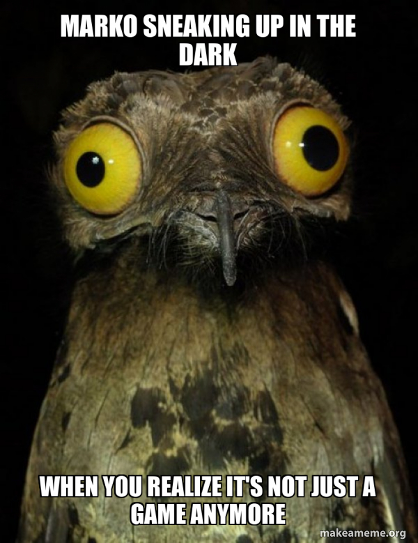 MARKO sneaking up in the dark When you realize it's not just a game ...