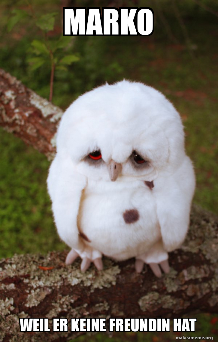 marko weil er keine freundin hat - Sad Owl Meme Generator