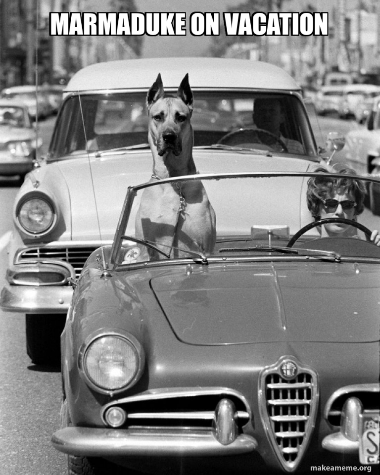 MARMADUKE ON VACATION Meme Generator