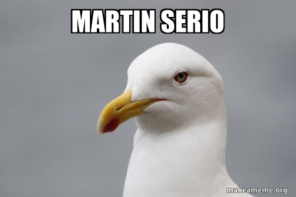 Martin serio - Stuff That Didn't Happen Seagull Meme Generator