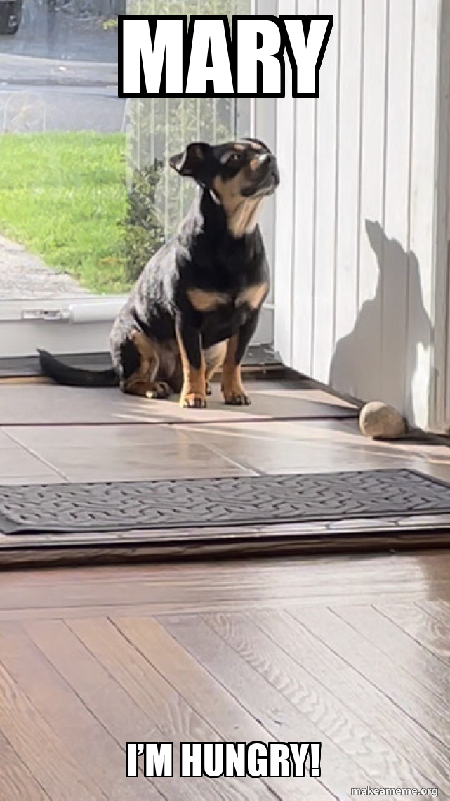 Mary I’m Hungry! Meme Generator
