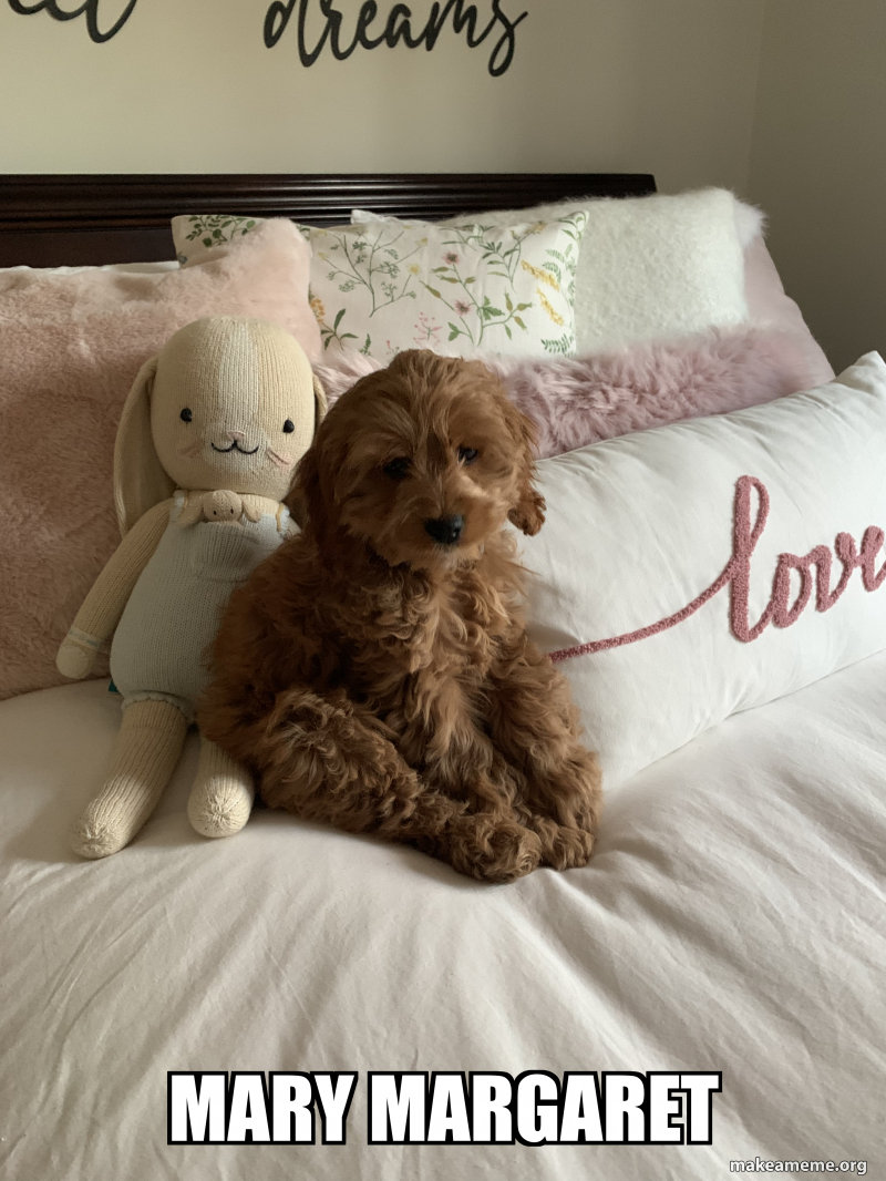 Mary Margaret Meme Generator