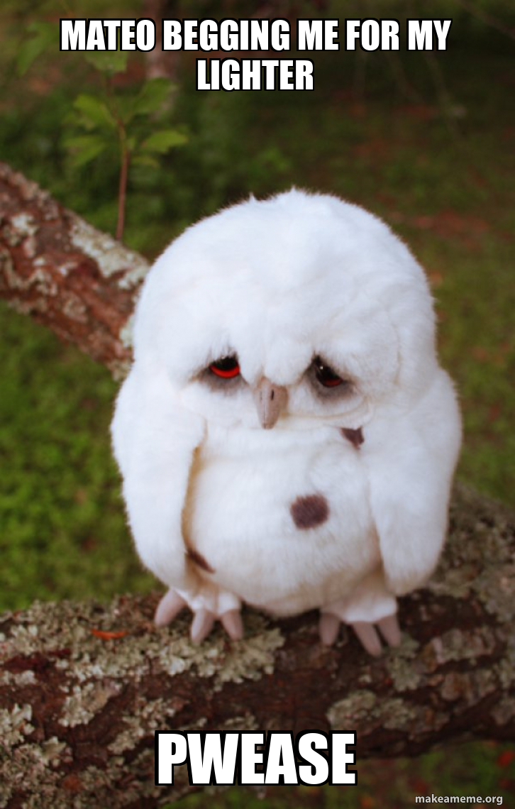 Mateo begging me for my lighter Pwease - Sad Owl Meme Generator