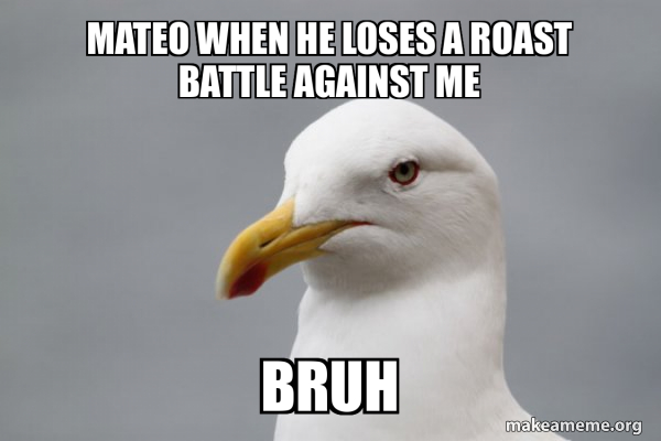 mateo when he loses a roast battle against me bruh - Stuff That Didn't ...