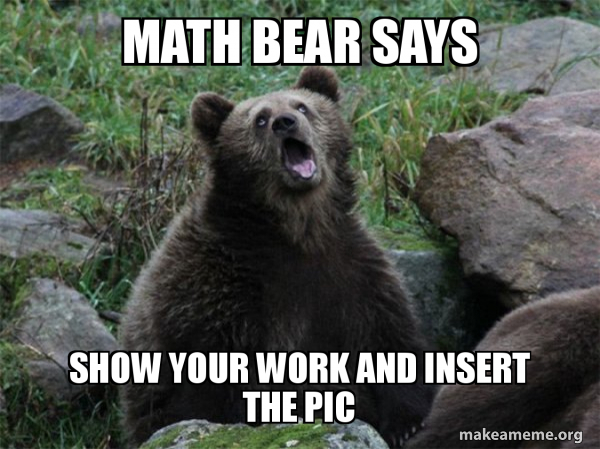 Math Bear says show your work and insert the pic - Sarcastic Bear Meme ...