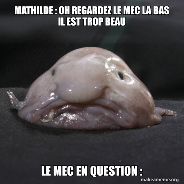 Mathilde : oh regardez le mec la bas il est trop beau le mec en ...
