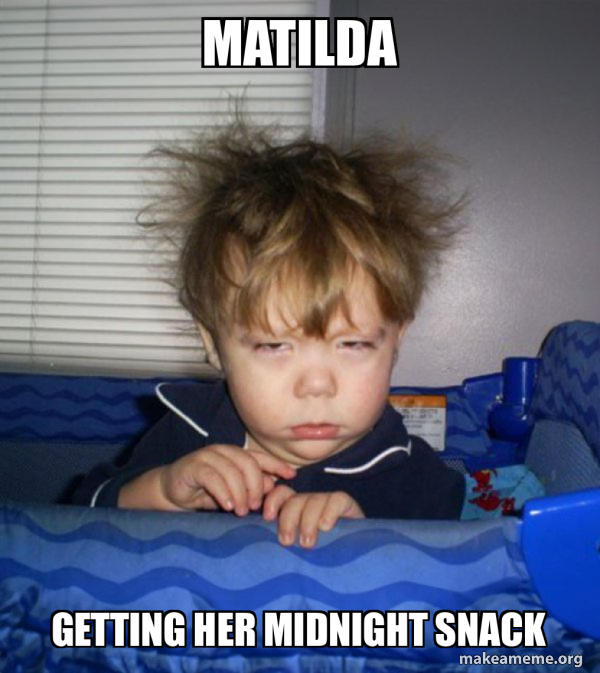 Matilda getting her midnight snack - Monday Mornings Meme Generator