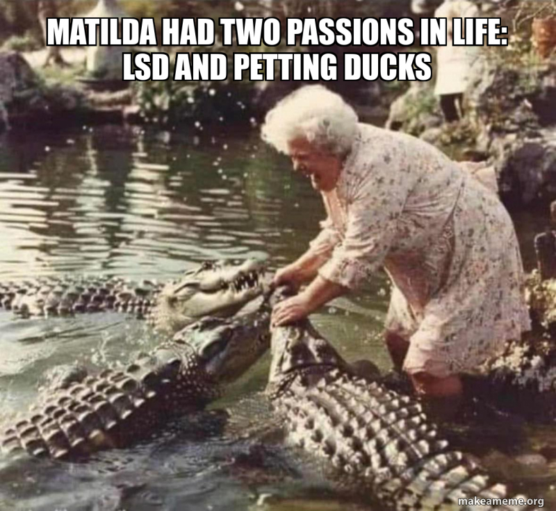 Matilda had two passions in life: LSD and petting ducks Meme Generator