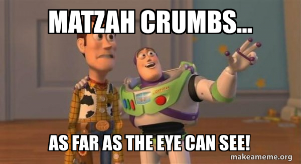 Matzah crumbs… As far as the eye can see! - Buzz and Woody (Toy Story ...