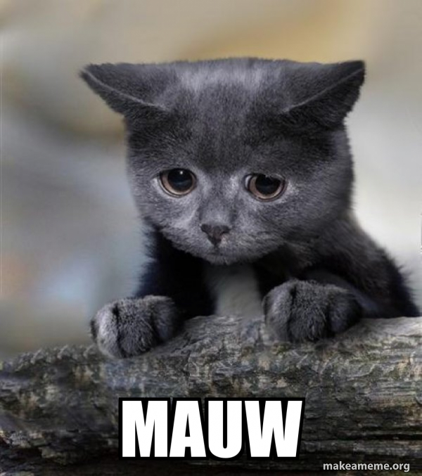 mauw - Confession Cat Meme Generator