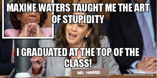 Maxine waters taught me the art of stupidity I graduated at the top of ...