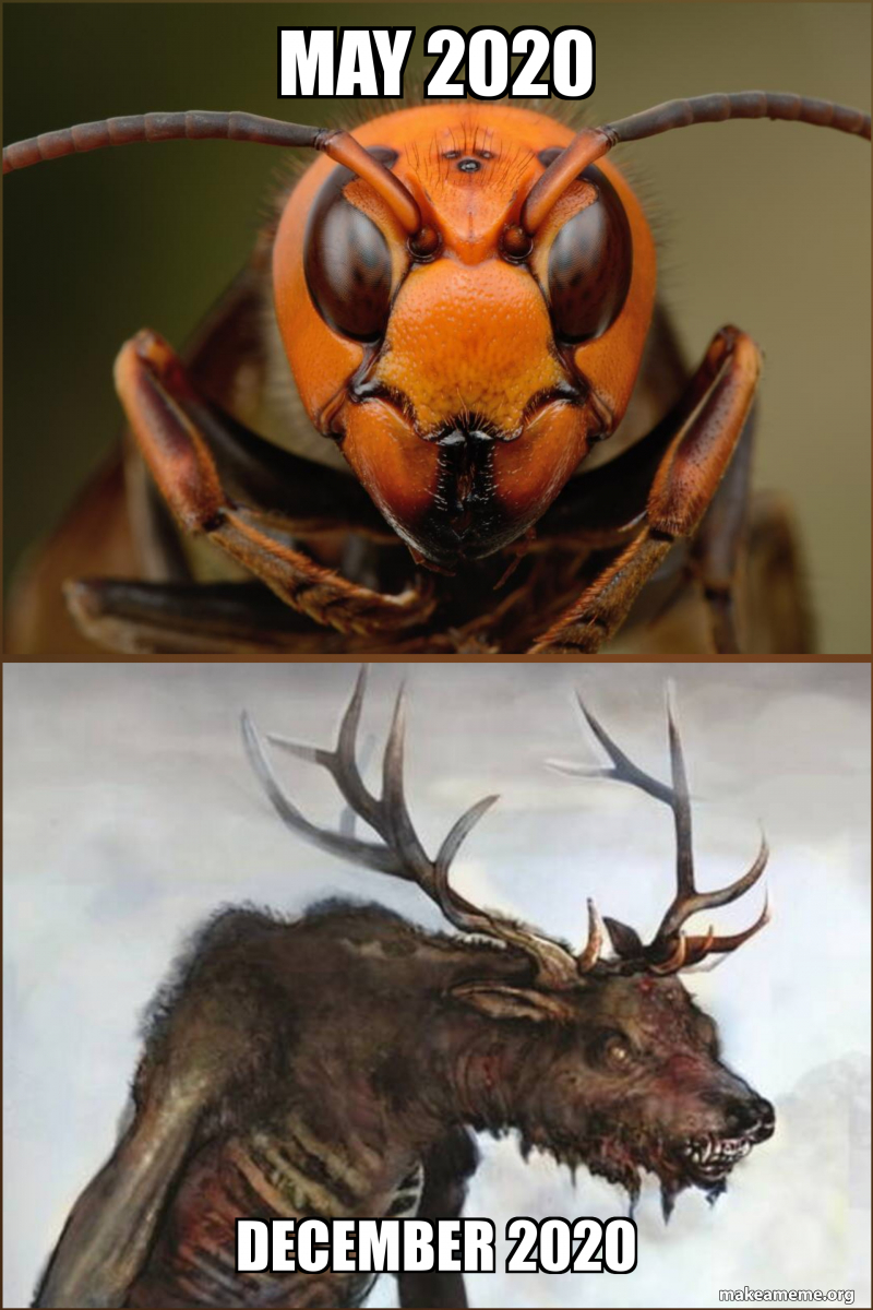 May 2020 December 2020 Meme Generator